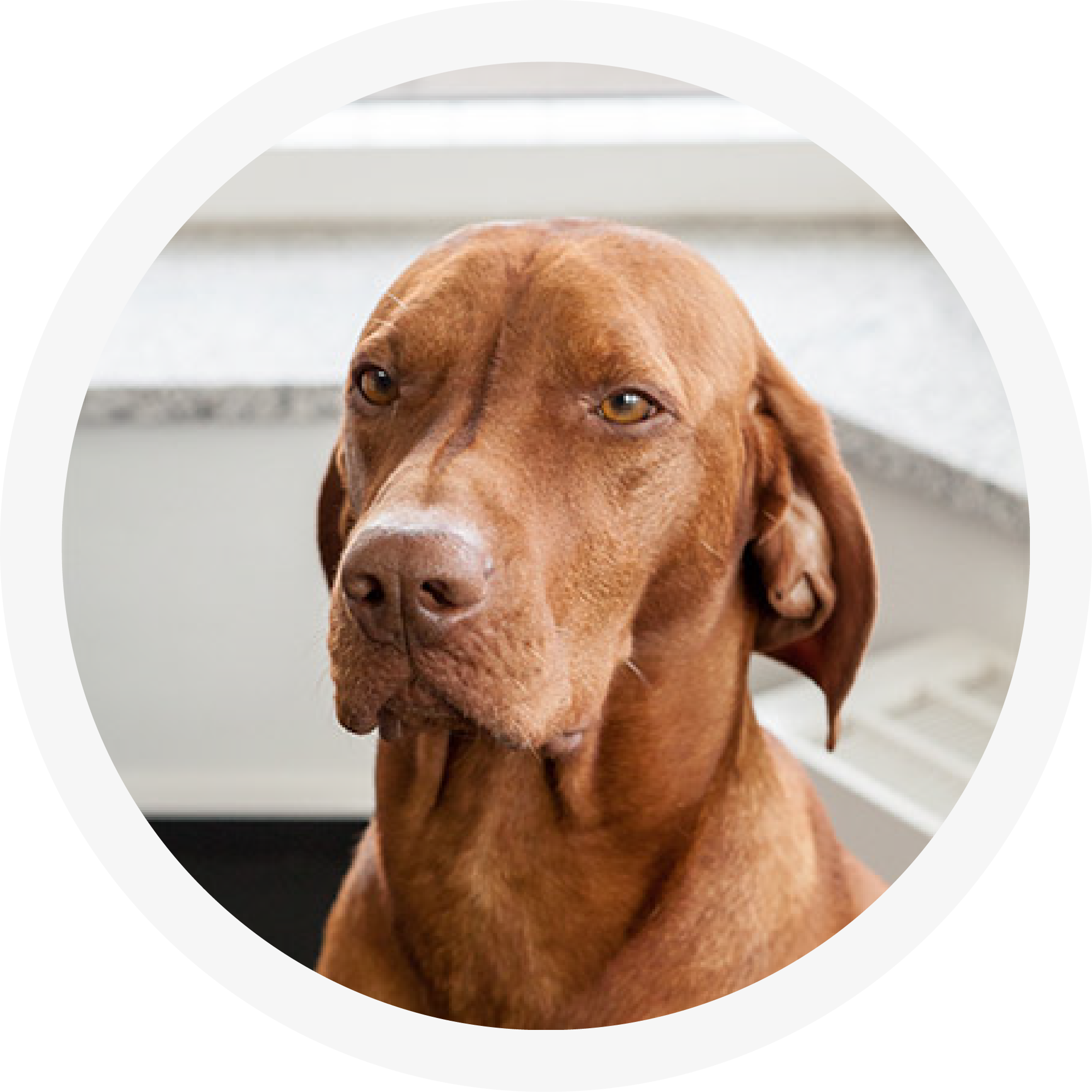 Praxis Dr. Ruck – Hausärztin Infektiologie Arbeitsmedizin Leipzig